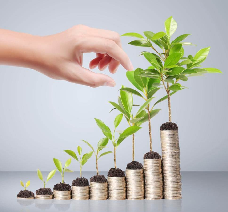 Las Bases de las Inversiones | Consolidated Credit en español