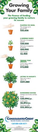 Saving Up for a Growing Family Infographic | Consolidated Credit